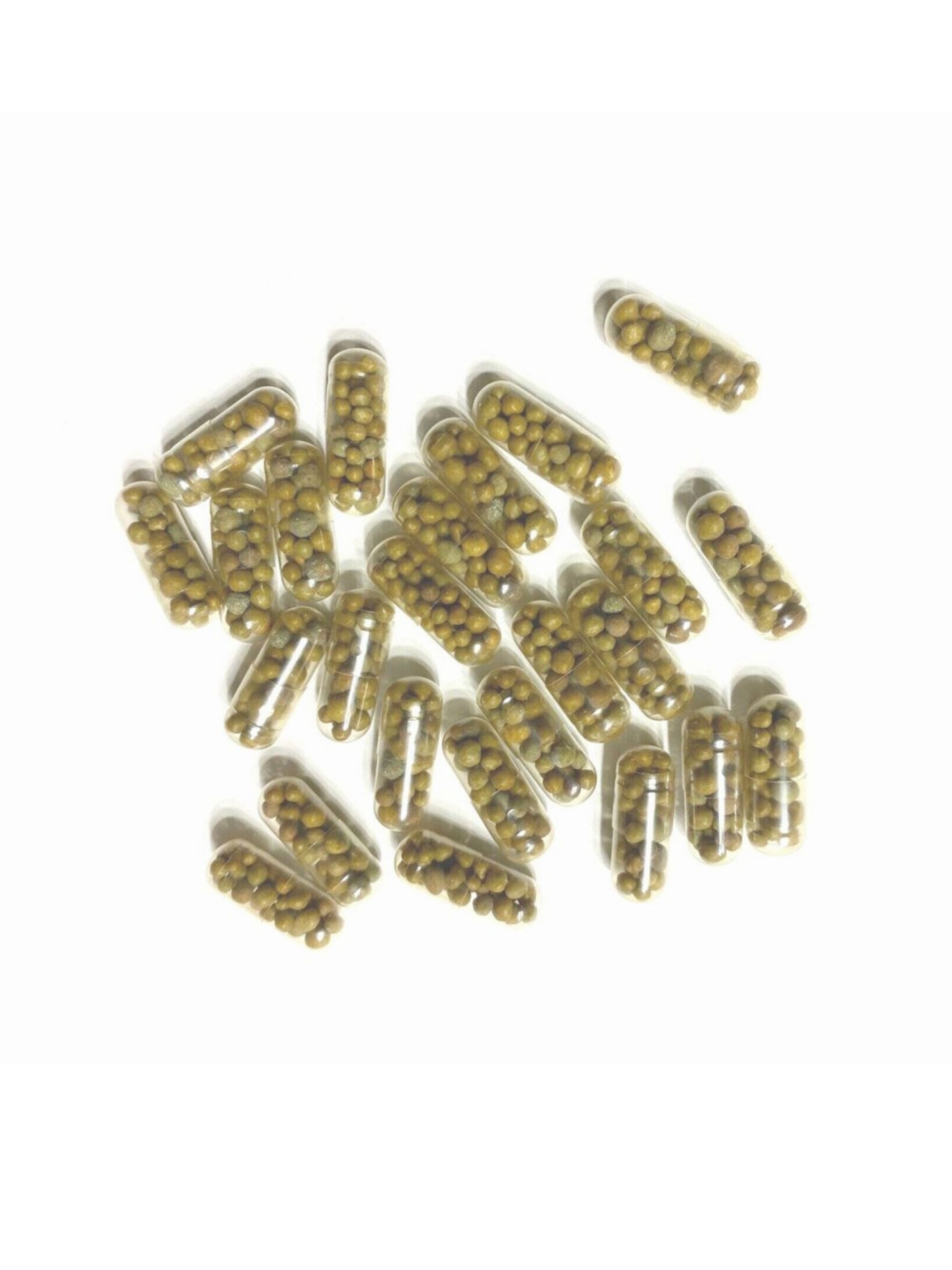 Aquarium Root Fertilizer – Nepal Aqua Studio