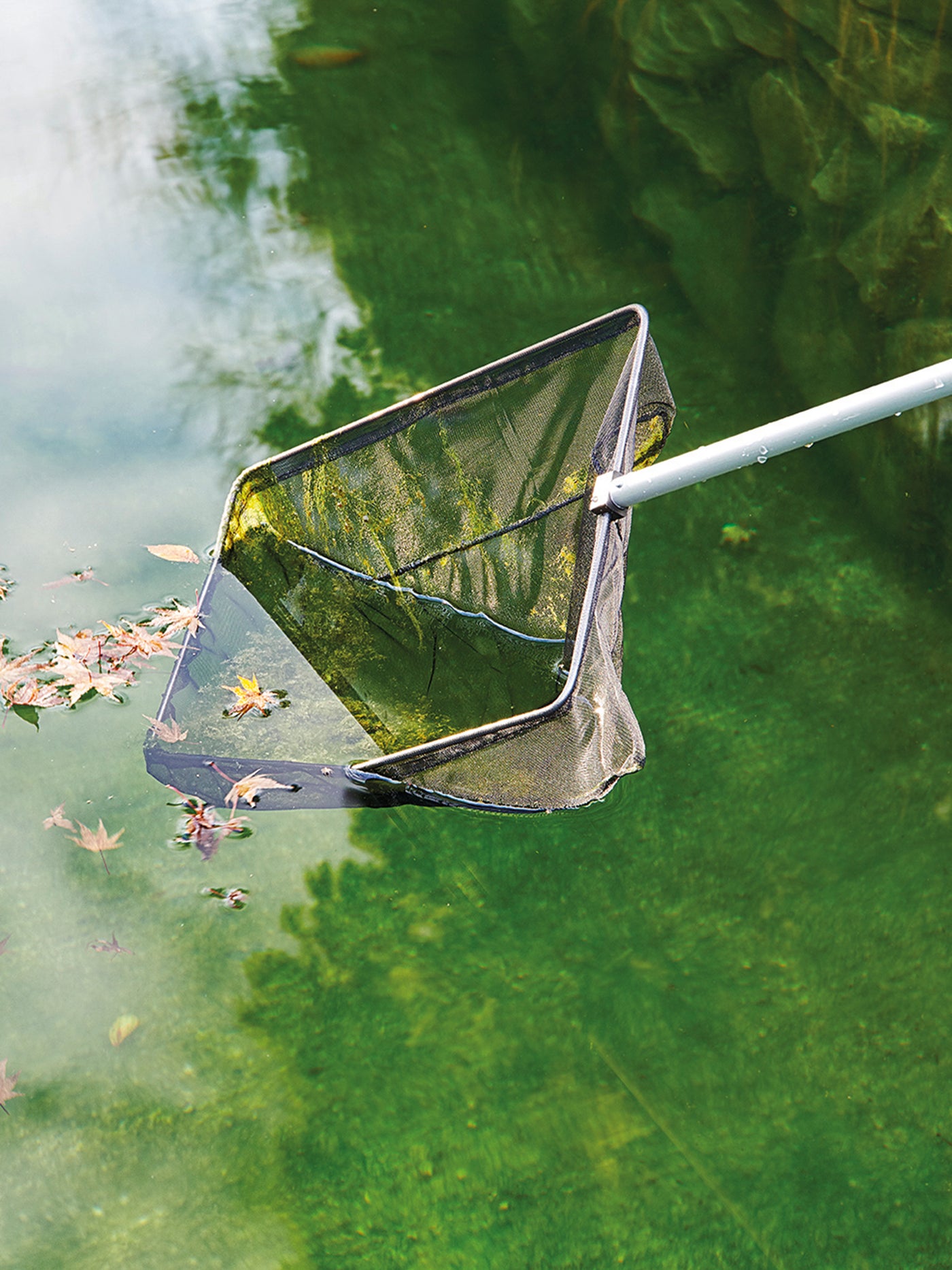 Algae net large - nepalaquastudio